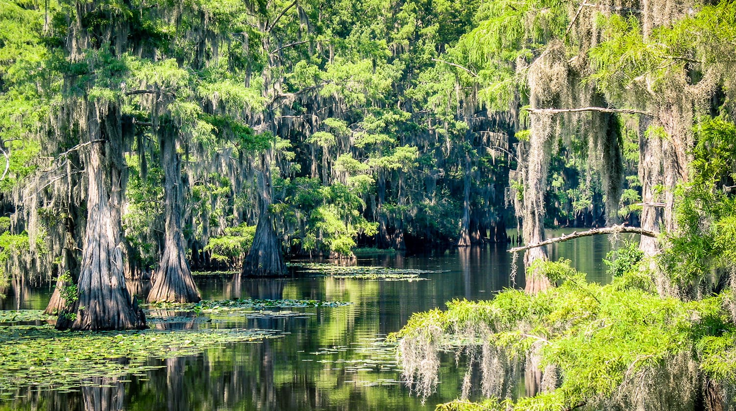 2021 North East Texas Regional Water Plan | Carollo Engineers