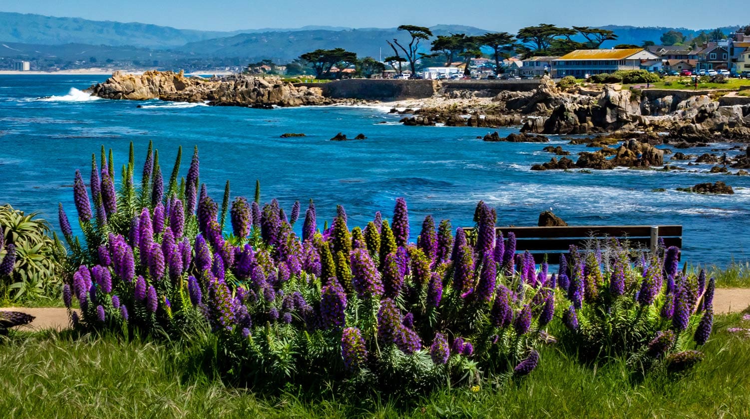 Monterey One Water Dynamic Water Balance Model