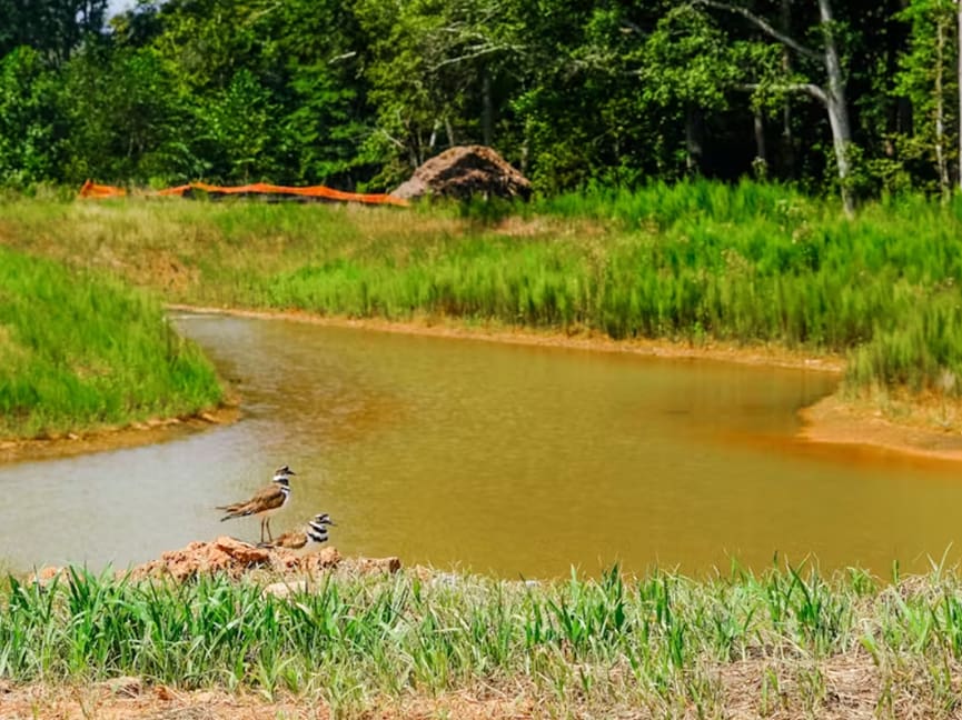 Water Industry News | Carollo Engineers