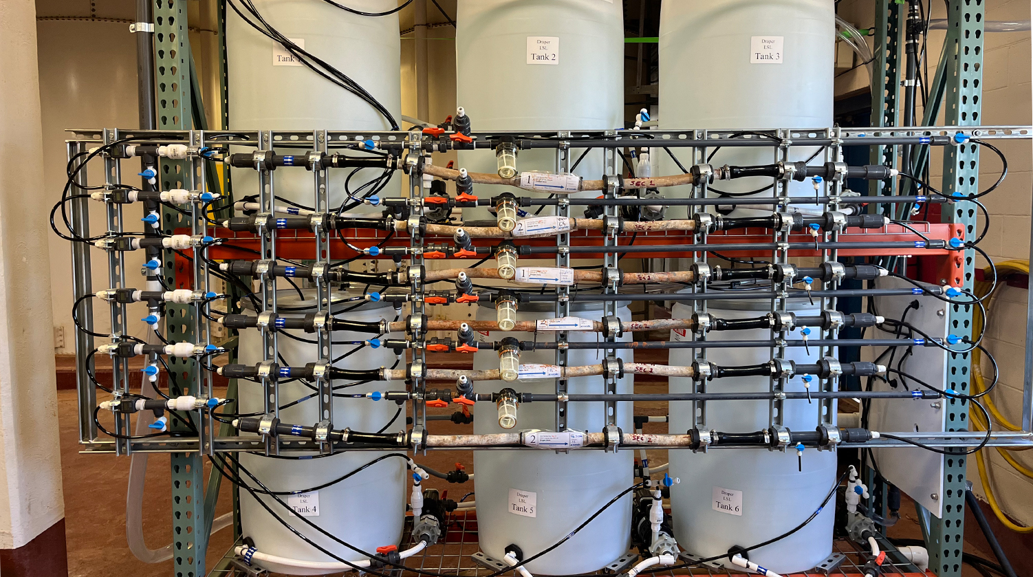 Oklahoma City Water Distribution System Nitrification Evaluation