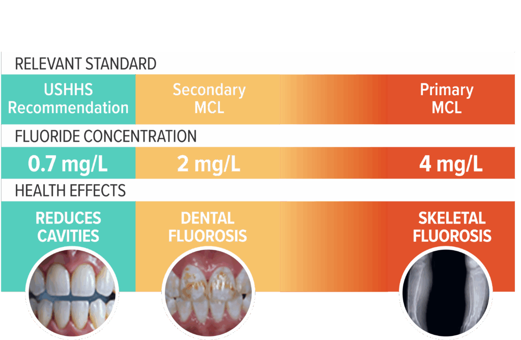 US water fluoridation: Navigating the current regulatory landscape