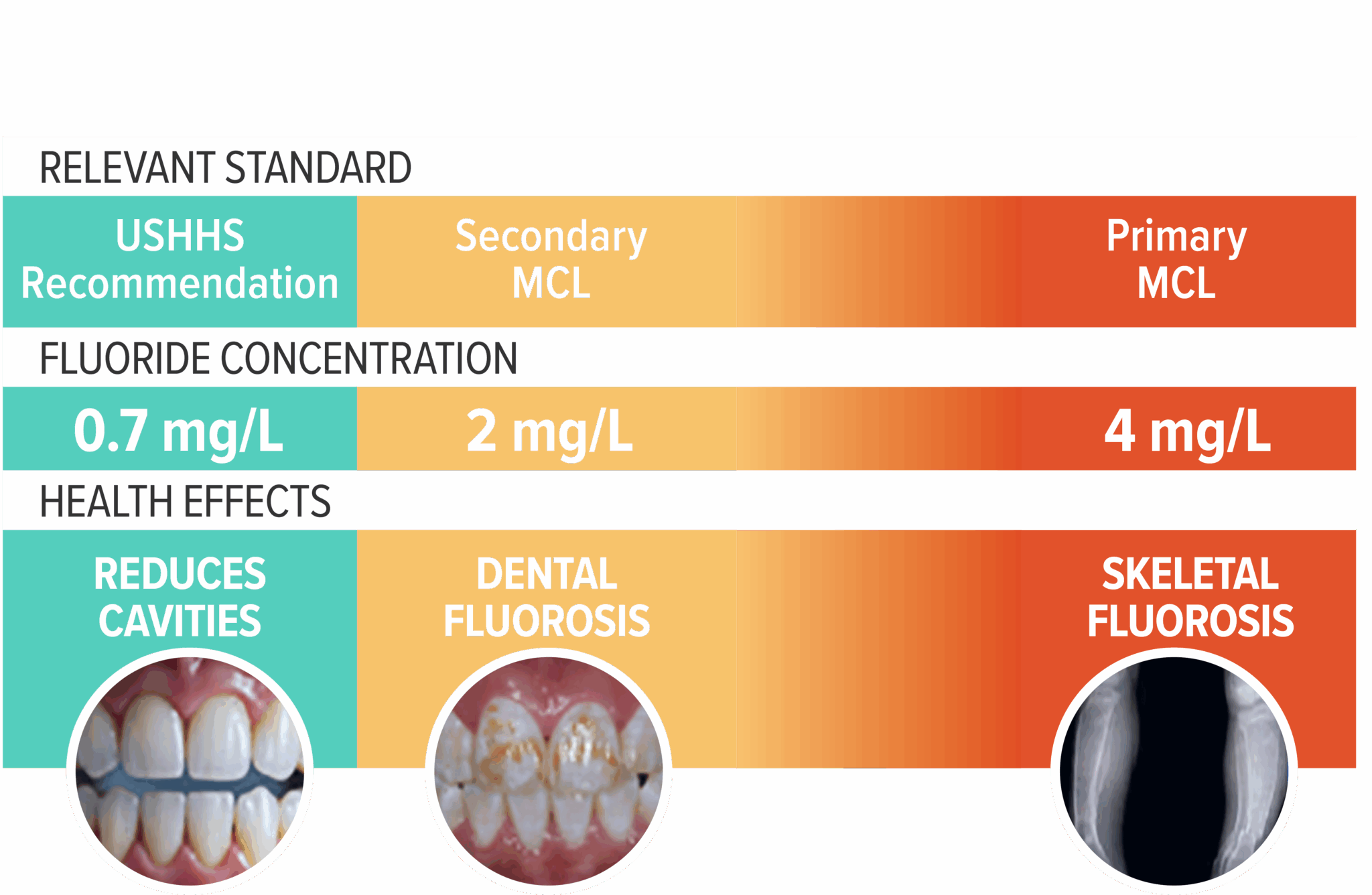 US water fluoridation: Navigating the current regulatory landscape